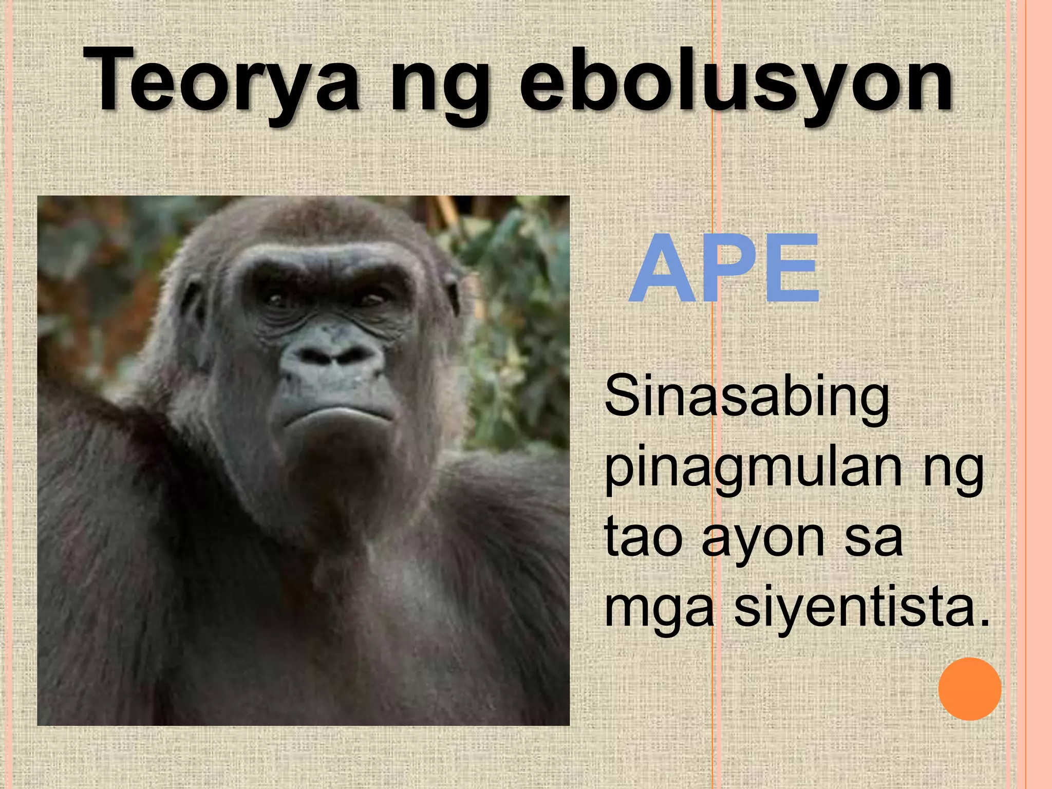 Araling panlipunan grade 8 aralin 2 Sinaunang tao | PPTX