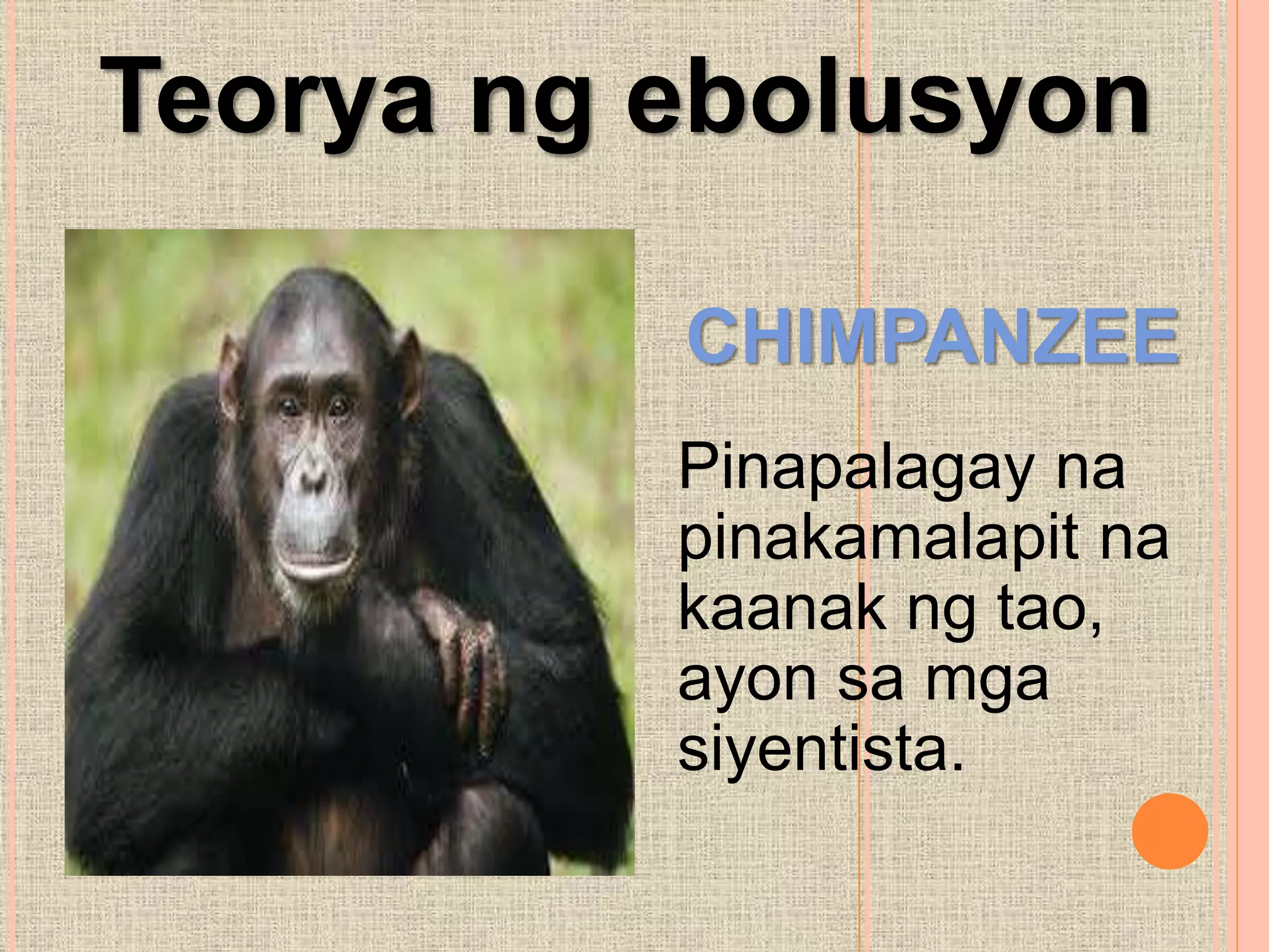 Araling panlipunan grade 8 aralin 2 Sinaunang tao | PPTX