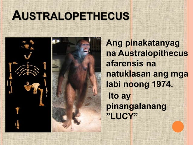 Araling panlipunan grade 8 aralin 2 Sinaunang tao | PPTX