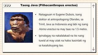 ARAL PAN-Panahon ng unang tao.pdf kondisyong heograpikal | PDF