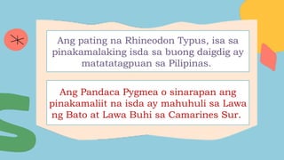 Pakinabang Pang-ekonomiko ng Likas na Yaman ng Pilipinas | PPTX