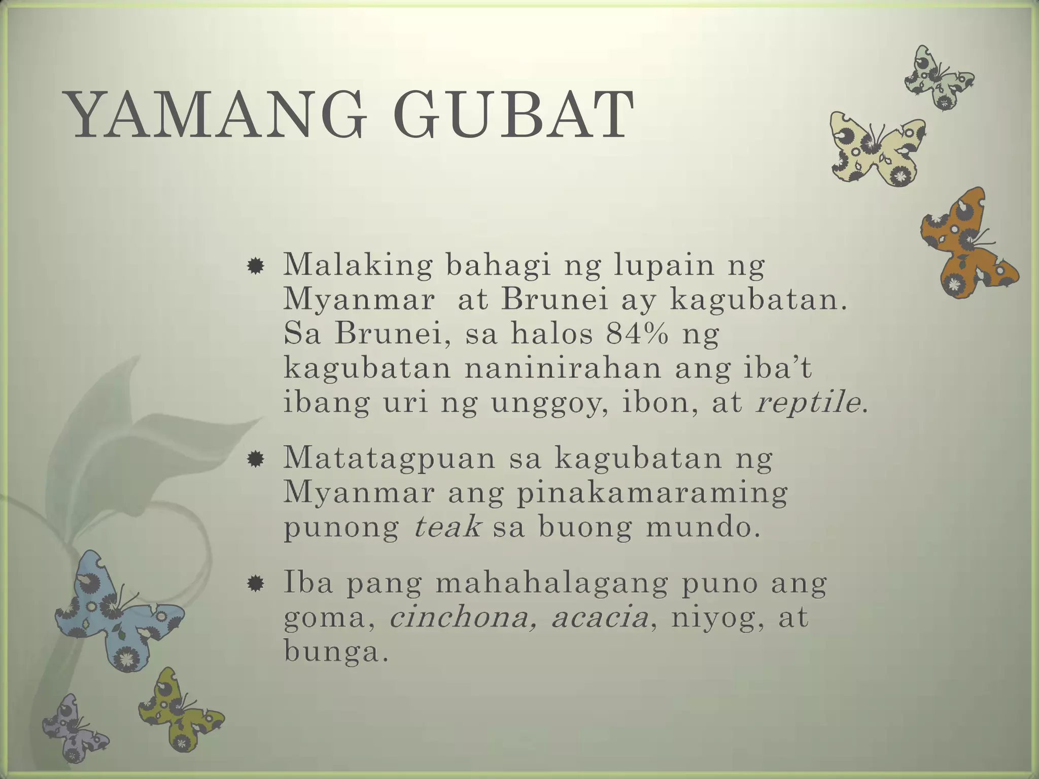 Yamang Gubat Kahulugan