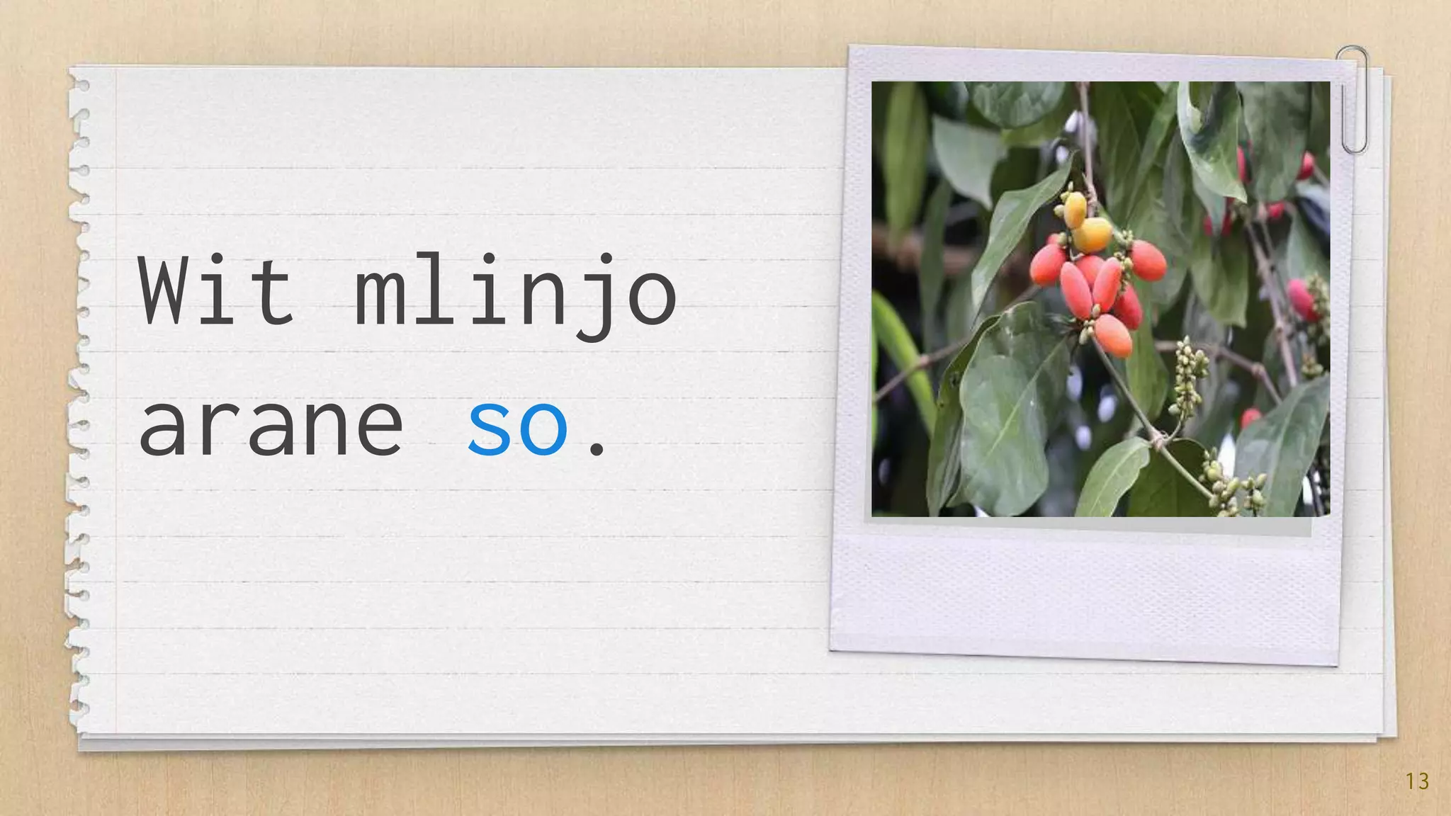 Arane kembang, wit lan kewan | PPTX