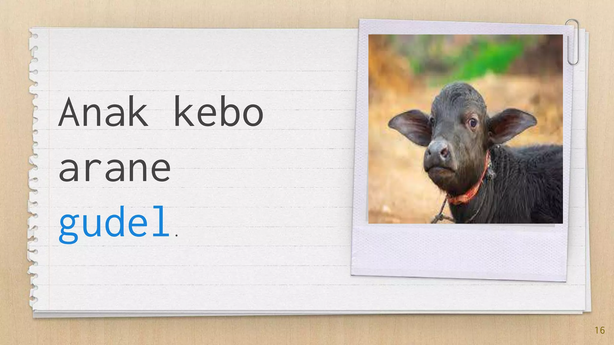 Arane kembang, wit lan kewan | PPTX