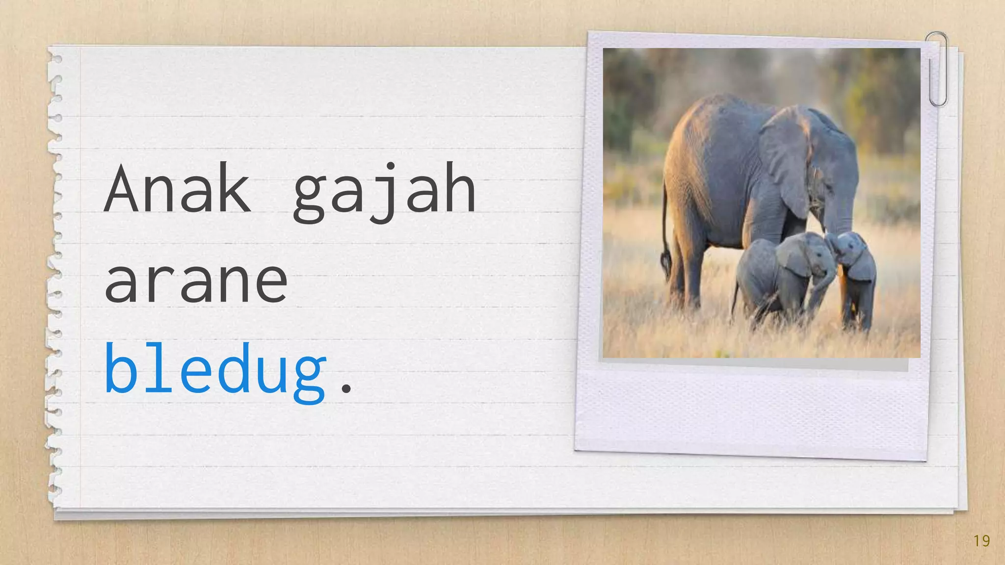 Arane kembang, wit lan kewan | PPTX