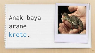 Arane kembang, wit lan kewan | PPT