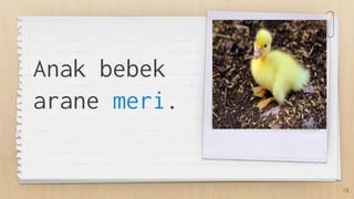 Arane kembang, wit lan kewan | PPTX