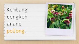 Arane kembang, wit lan kewan | PPTX