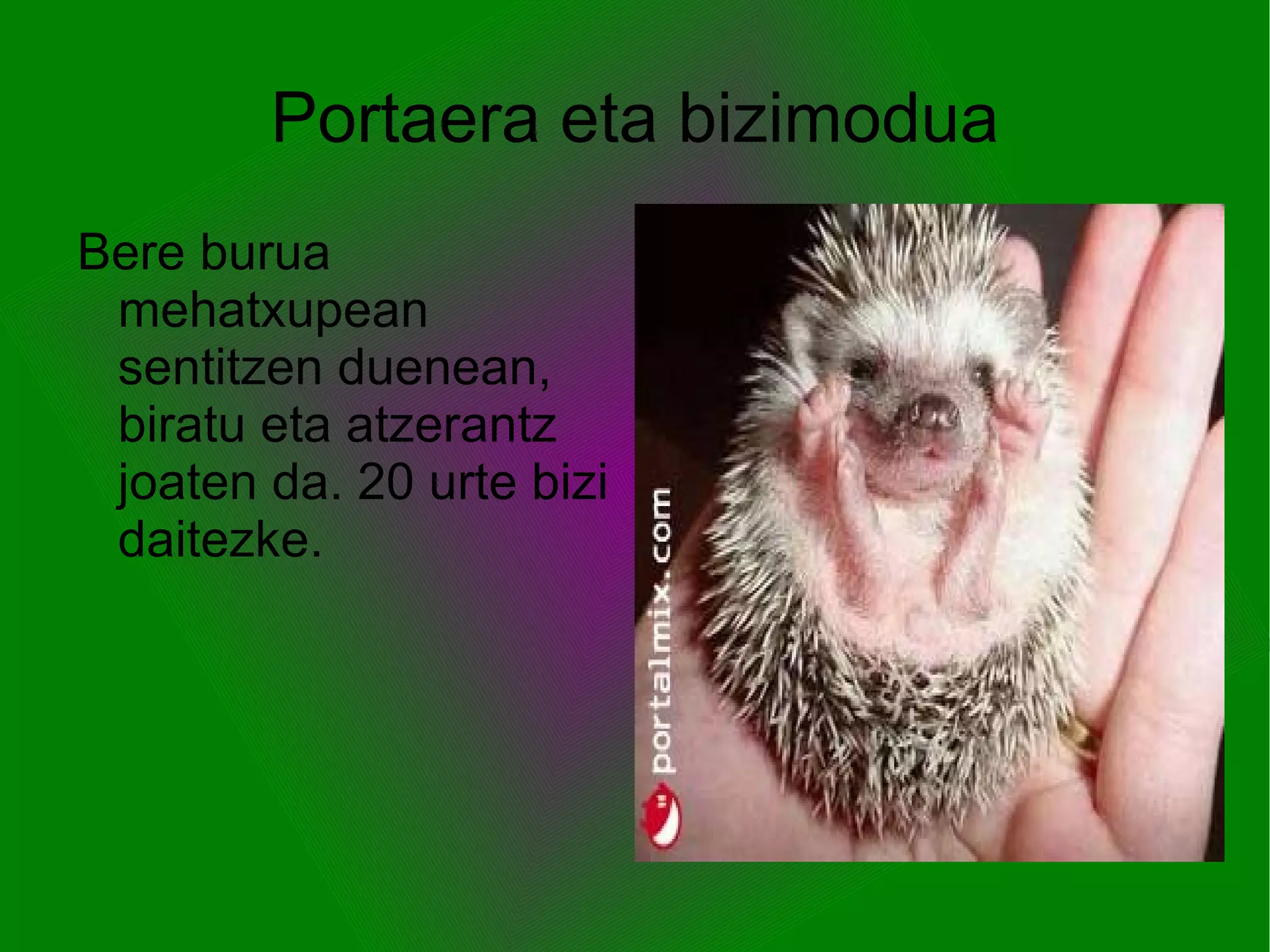 Arantzurdea.selene | ODP