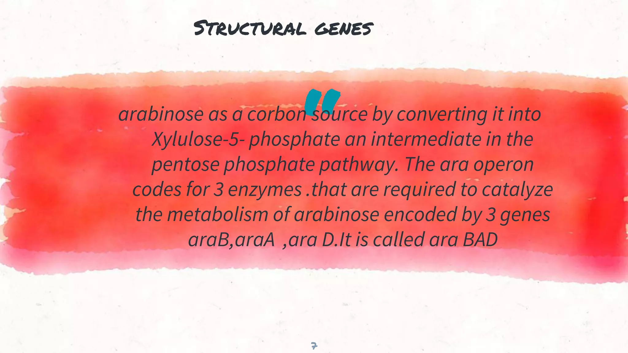Ara operon | PPTX