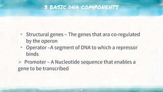 Ara operon | PPTX