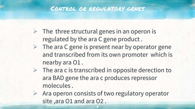 Ara operon | PPTX