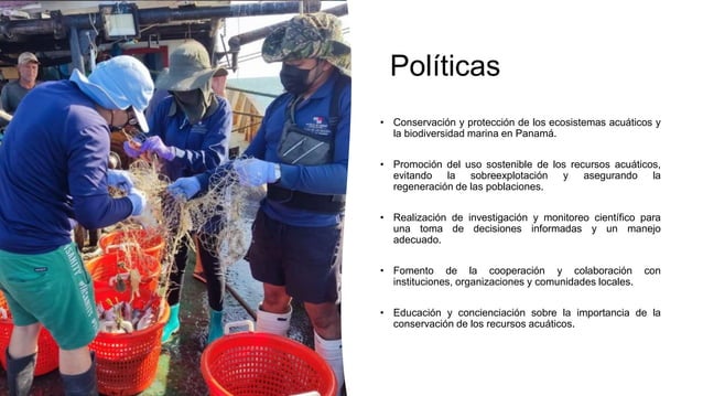 Arap Autoridad De Los Recursos Acuáticos De Panamá Ppt
