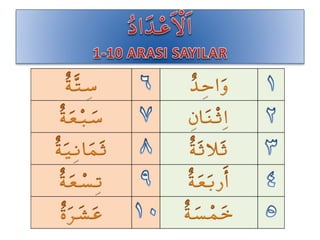 Arapça sayı bakımından i̇simler ve sayılar | PPS