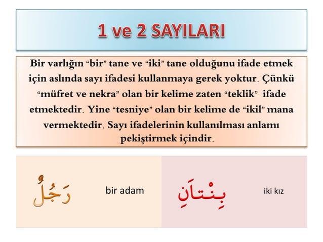 Arapça sayı bakımından i̇simler ve sayılar | PPS