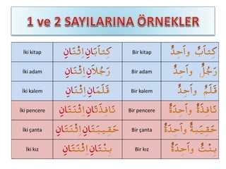 Arapça sayı bakımından i̇simler ve sayılar | PPS