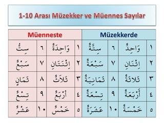 Arapça sayı bakımından i̇simler ve sayılar | PPS