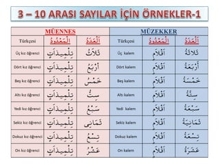 Arapça sayı bakımından i̇simler ve sayılar | PPS