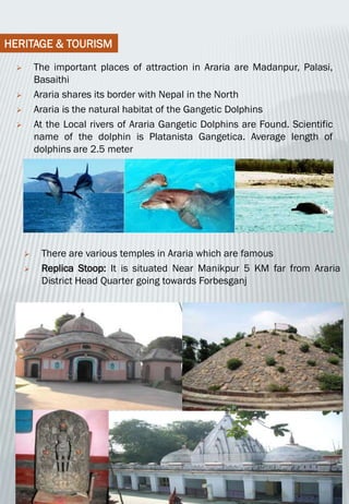 Araria District Profile | PPTX