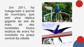 Araruna-PR (1).pptx, Cidade de Araruna pr | PPTX