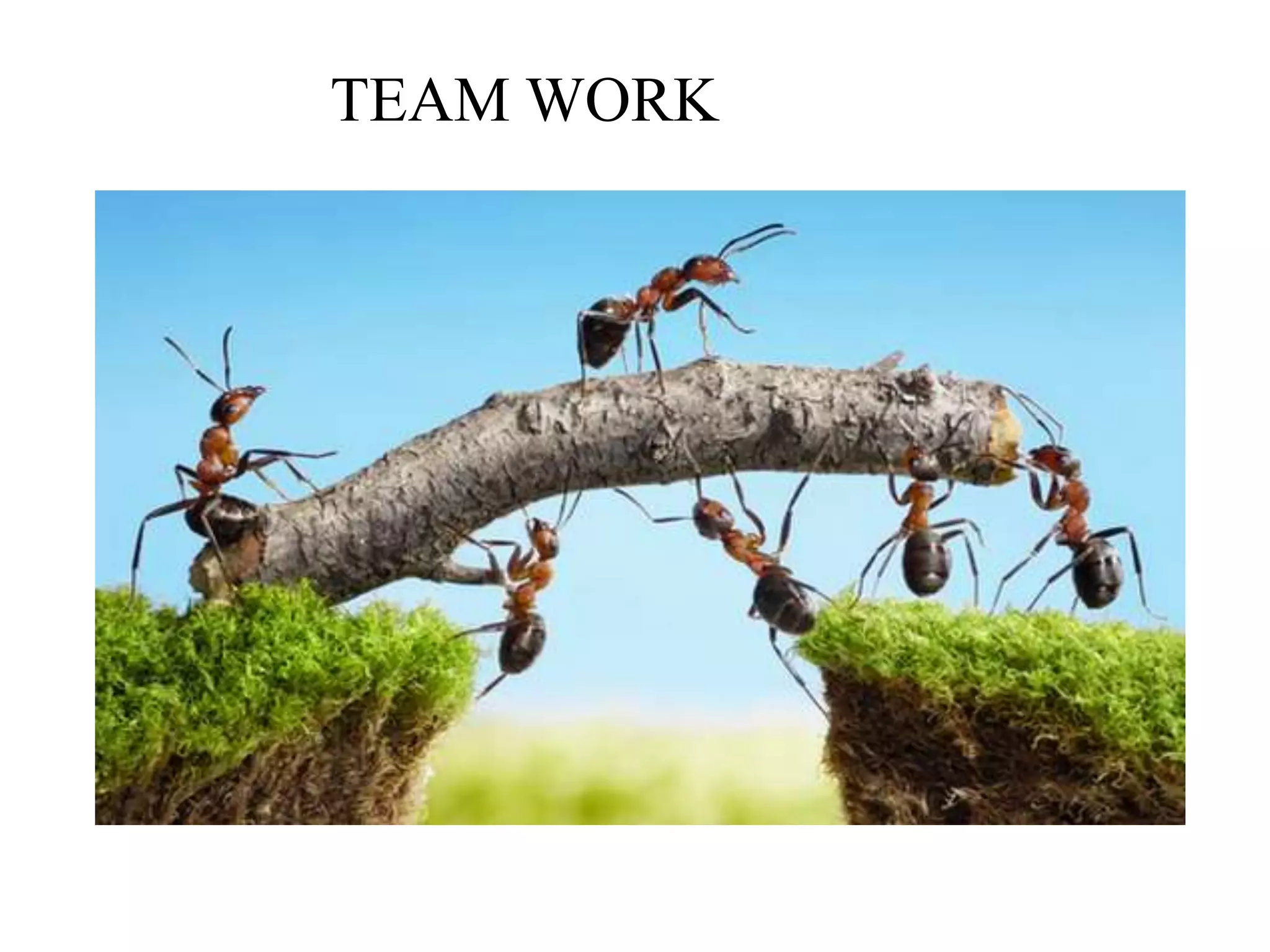 team building , team spirit , efficacy | PPTX | Mental Health ...