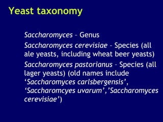 A Rational Approach To Yeast Strain Selection In Product Development | PPT