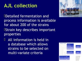 A Rational Approach To Yeast Strain Selection In Product Development | PPT