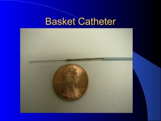 The new design basket catheter system | PPT