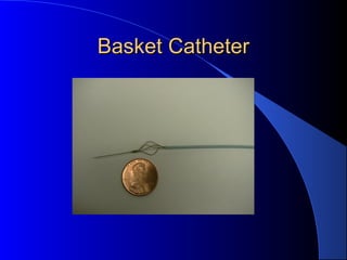 The new design basket catheter system | PPT