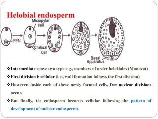 Aravind seed-embryo development | PPTX