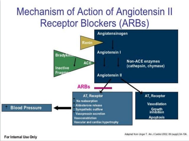 Angiotensin-II Receptor Blocker Update --dr shanjida