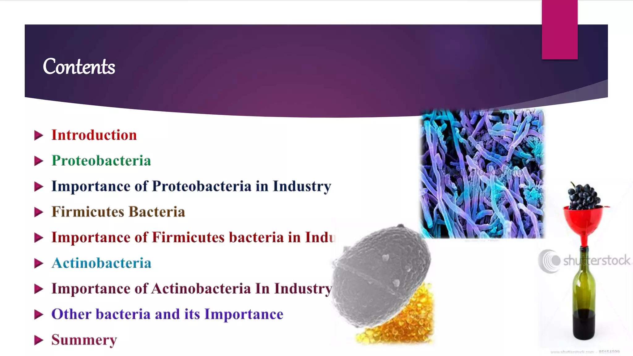 Industrial importance of bacteria | PPTX