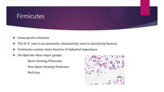 Industrial importance of bacteria | PPTX