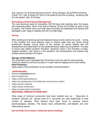 ARVI (Colocasia esculenta) PRODUCTION AND POST HARVEST MANAGEMENT FOR ...