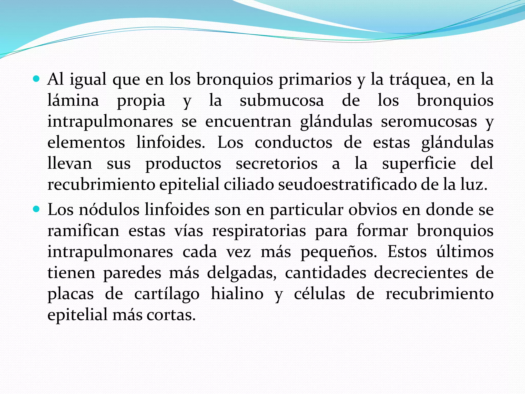 Arbol bronquial ( Bronquios y Bronquiolos) | PPTX