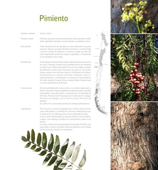 Arboles nativos-enersis | PDF