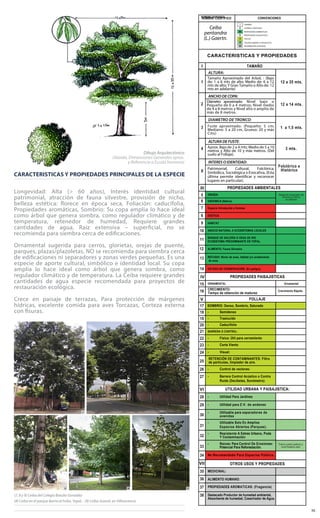 Arboles de Yopal en la Arquitectura, el paisaje y el urbanismo (Final).pdf