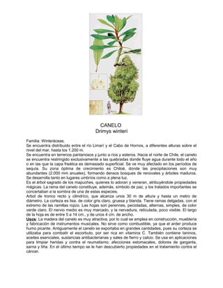Arboles nativos chile | DOC