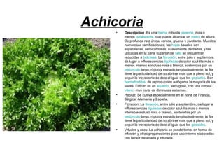 Arboles y plantas de rentee Odei | PPT