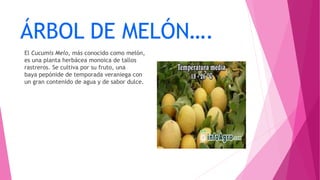 Arbol frutal.... | PPTX