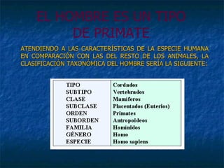 Arbol primates | PPT