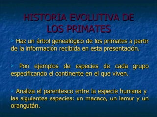Arbol primates | PPT