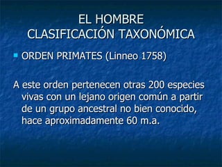 Arbol primates | PPT