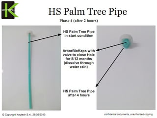 Arbor biokaps (hs palm tree pipe)(en) | PDF