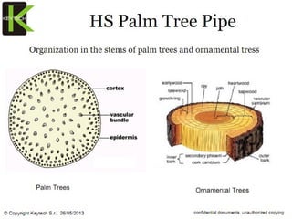 Arbor biokaps (hs palm tree pipe)(en) | PDF