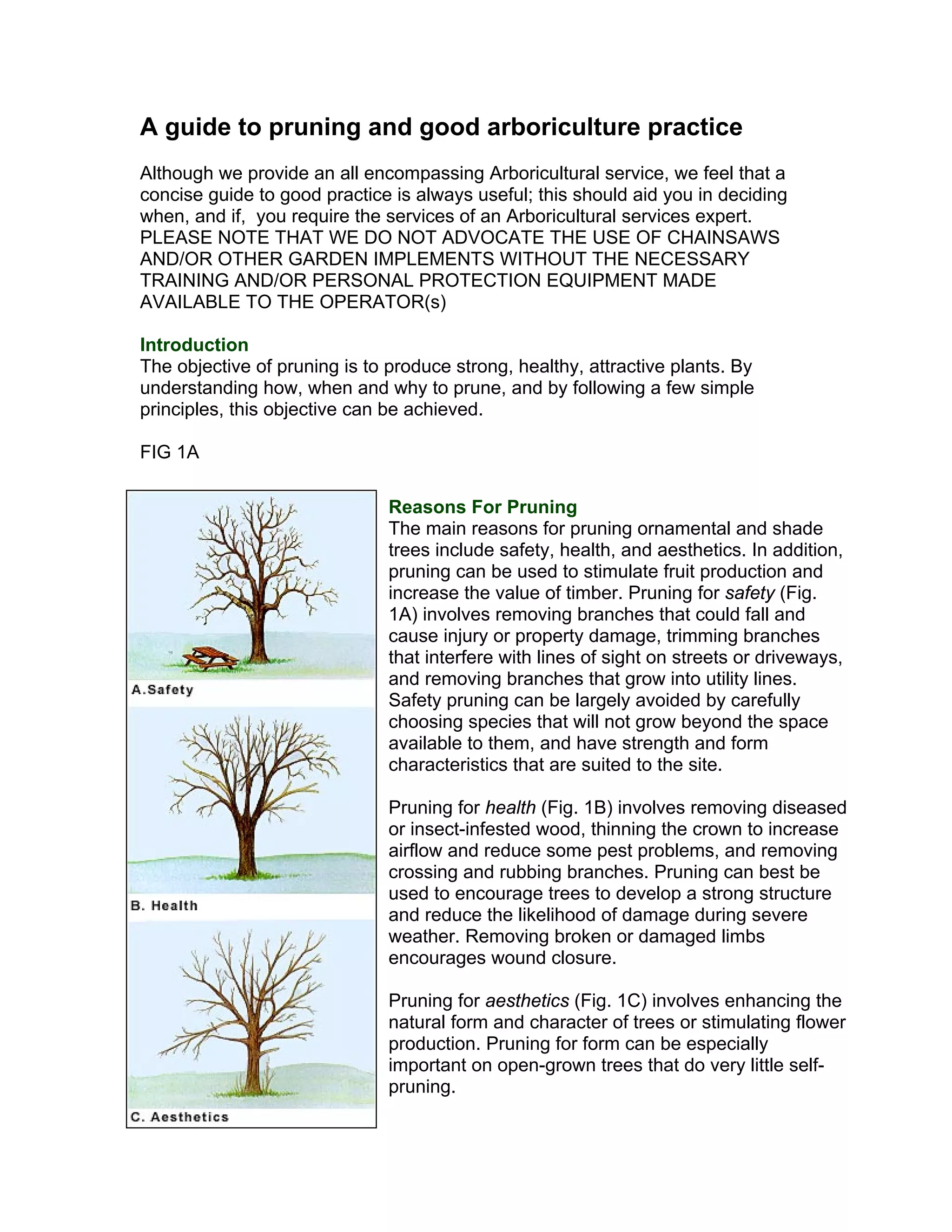 Arboriculture | PDF
