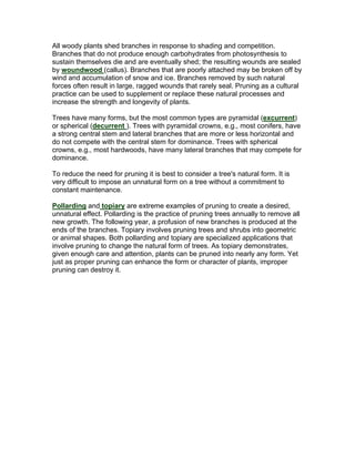 Arboriculture | PDF
