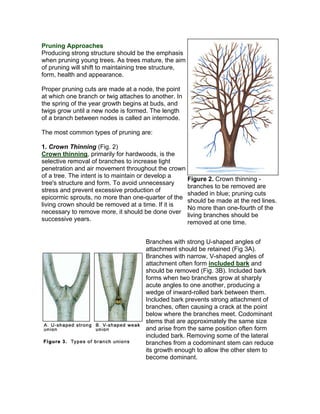 Arboriculture | PDF