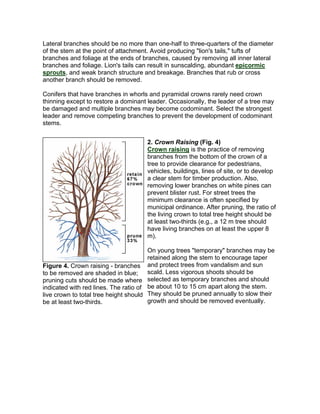Arboriculture | PDF