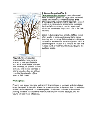 Arboriculture | PDF